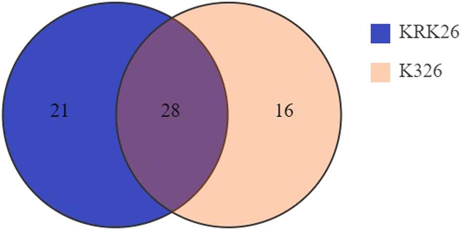 Untargeted metabolomics revealing changes in aroma substances in flue-cured tobacco
