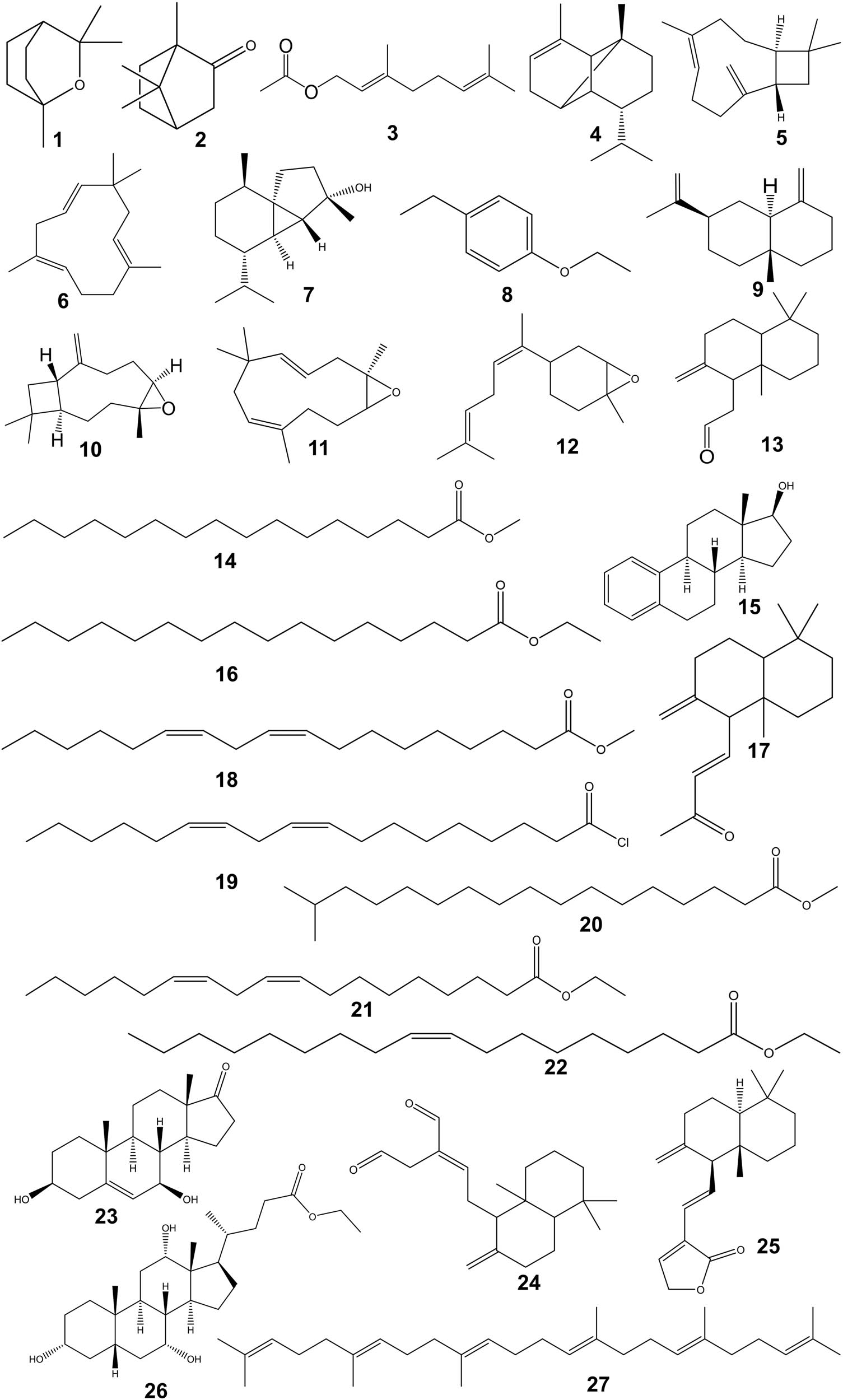 Combinatory in silico investigation for potential inhibitors from ...