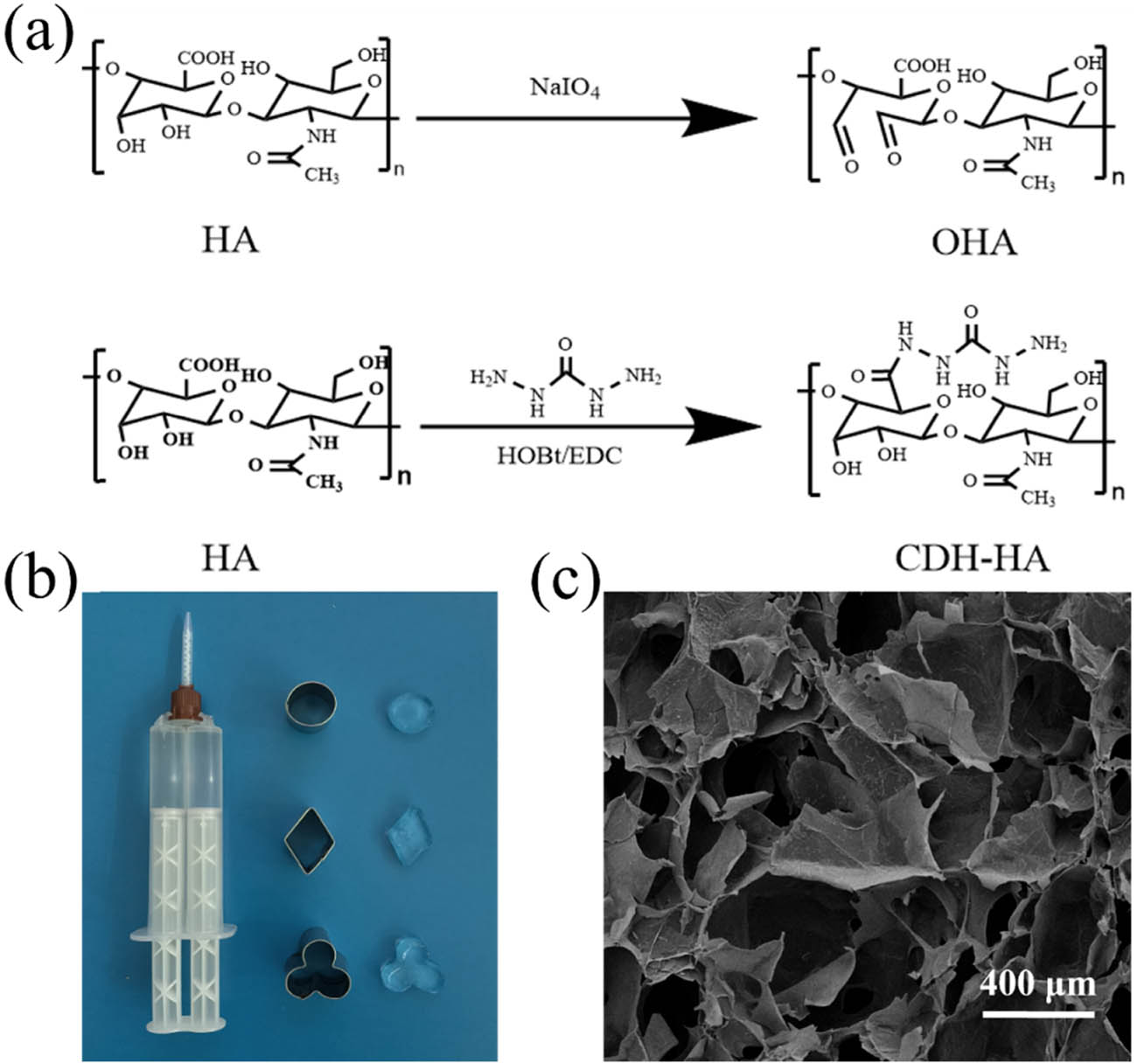 Treatment activity of the injectable hydrogels loaded wit...