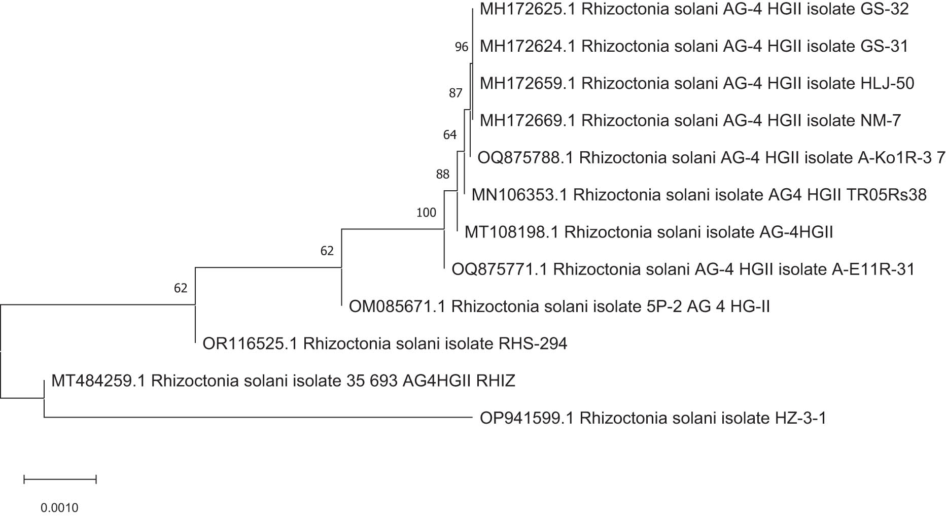 Extraction, phytochemical characterization, and antifunga...
