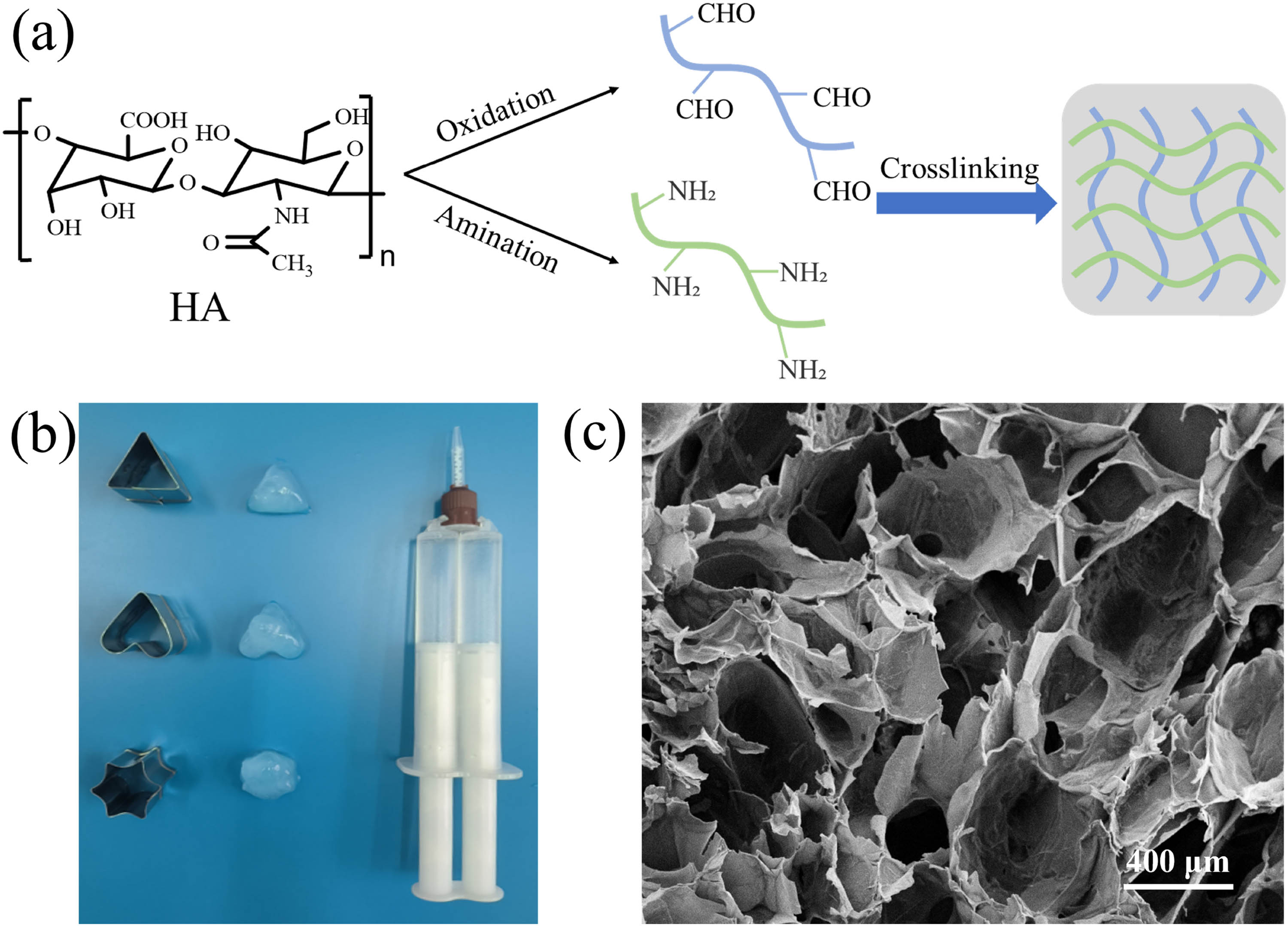 Important application value of injectable hydrogels loaded with ...