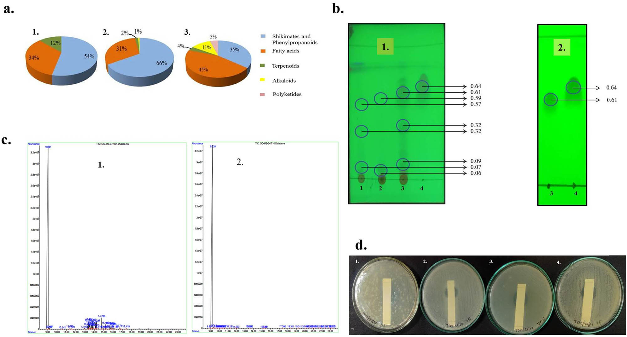 Evaluation and chemical characterization of bioactive secondary ...