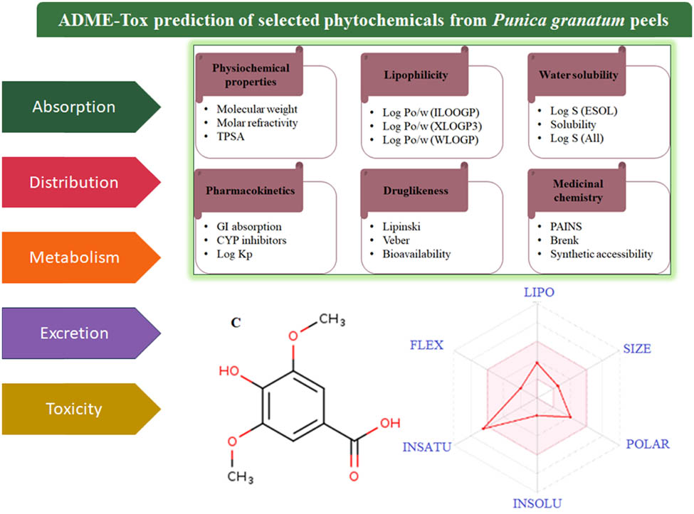 Computational study of ADME-Tox prediction of selected phytochemicals ...