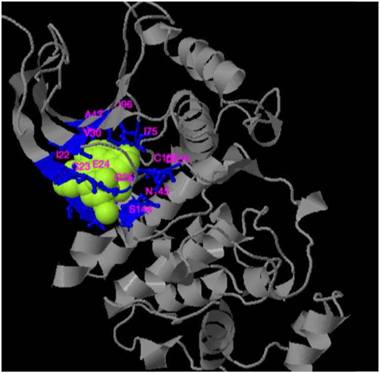 Integrated track of nano-informatics coupling with the enrichment ...
