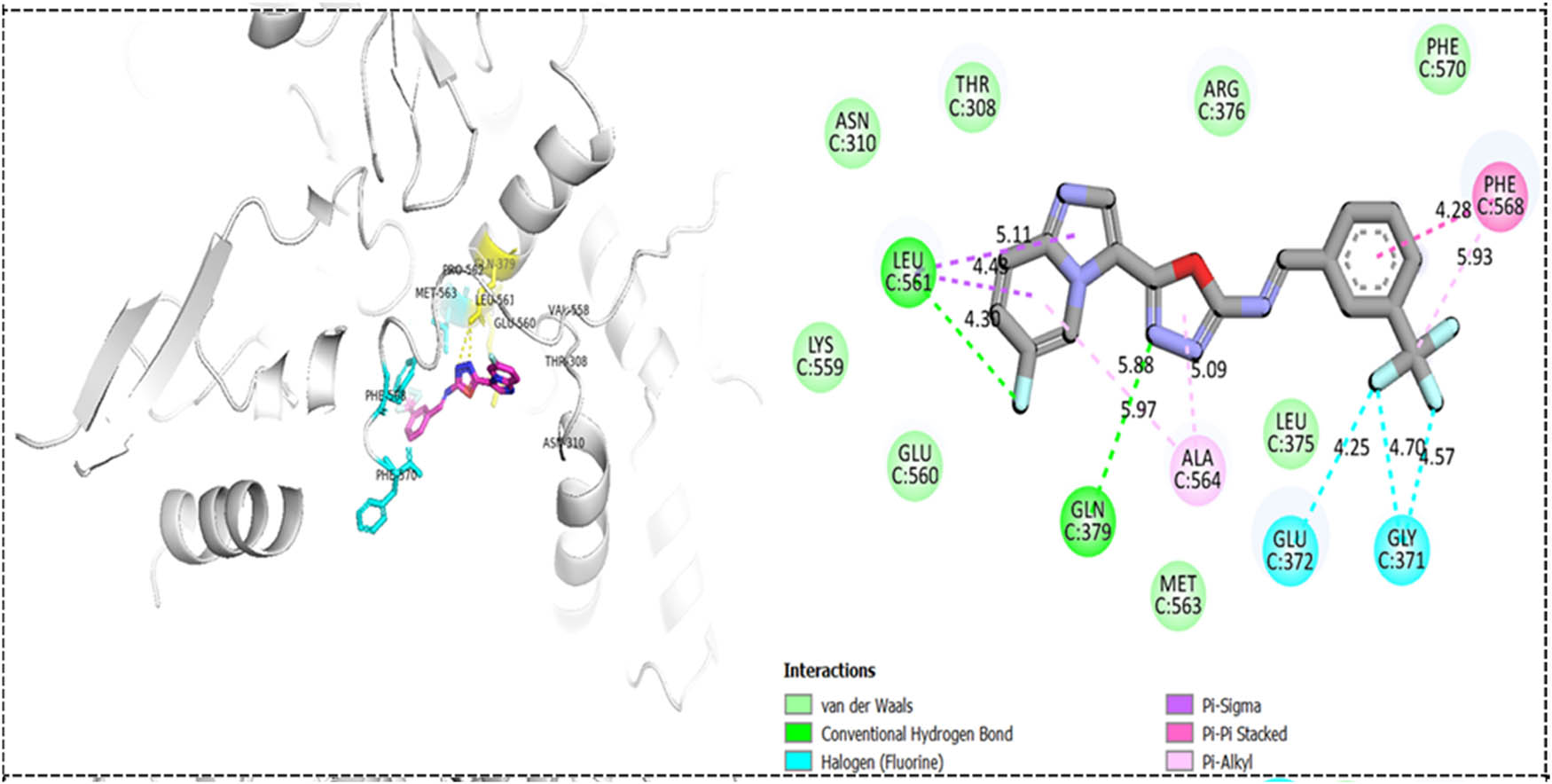 Correlation between in vitro anti-urease activity and in silico ...