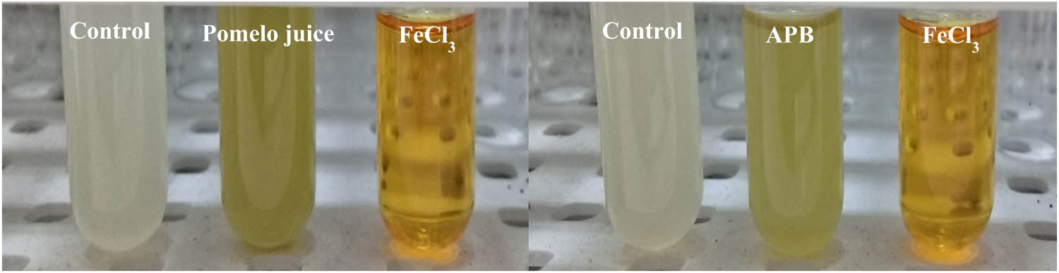 Processing of alcohol pomelo beverage (Citrus grandis (L.) Osbeck ...