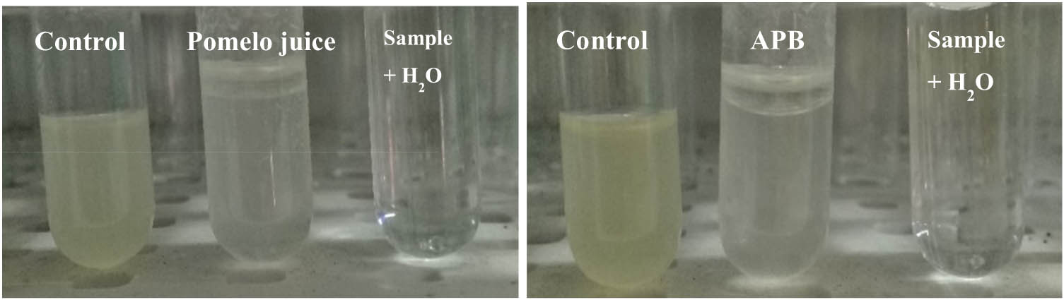 Processing of alcohol pomelo beverage (Citrus grandis (L.) Osbeck ...