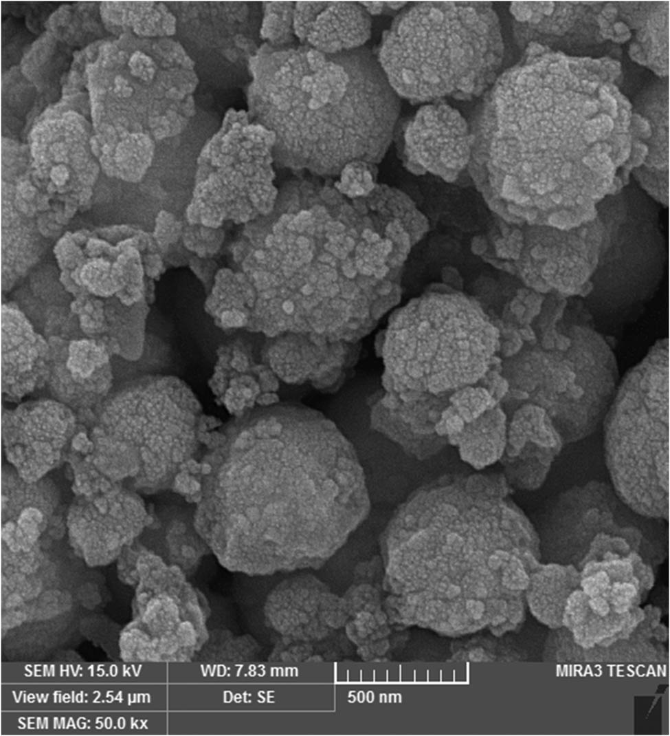 Curcumin conjugated zinc nanoparticles for the treatment of myocardial ...