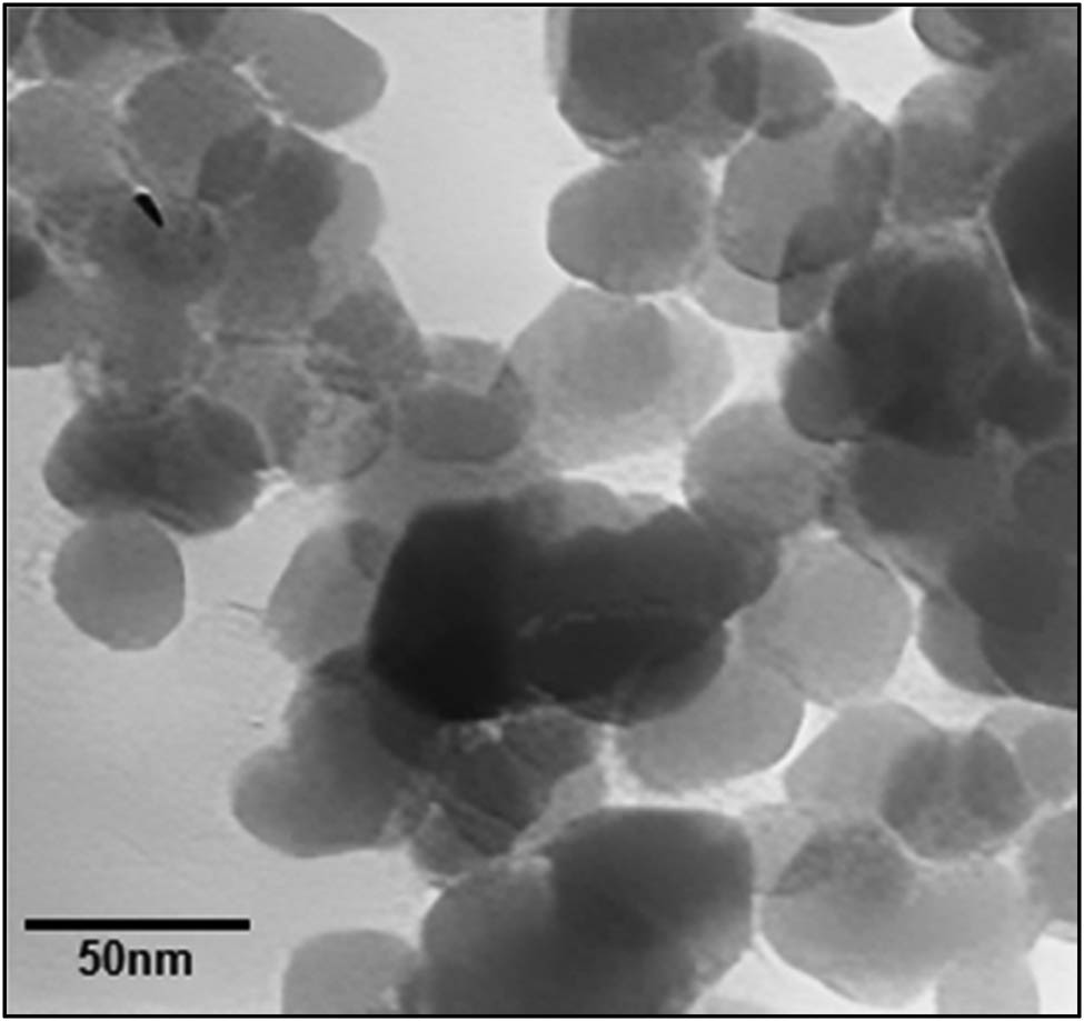 Curcumin conjugated zinc nanoparticles for the treatment of myocardial ...