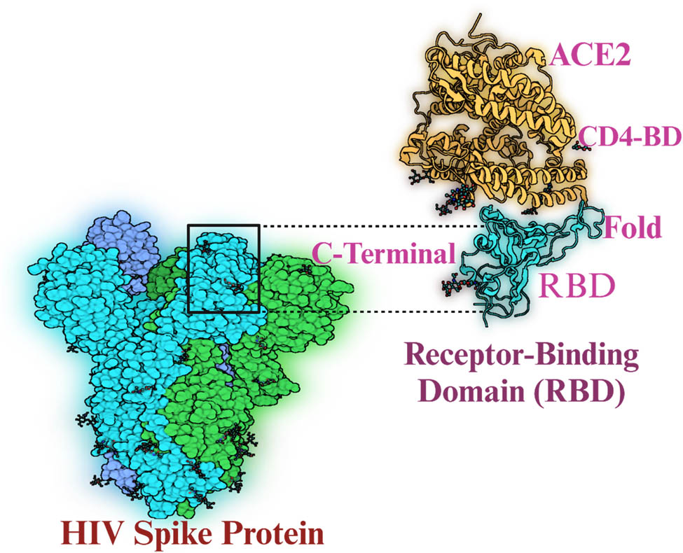 Exploration of plant alkaloids as potential inhibitors of HIV–CD4 ...
