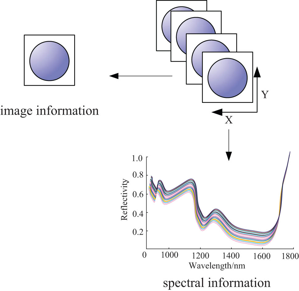 Nondestructive detection of potato starch content based on near ...