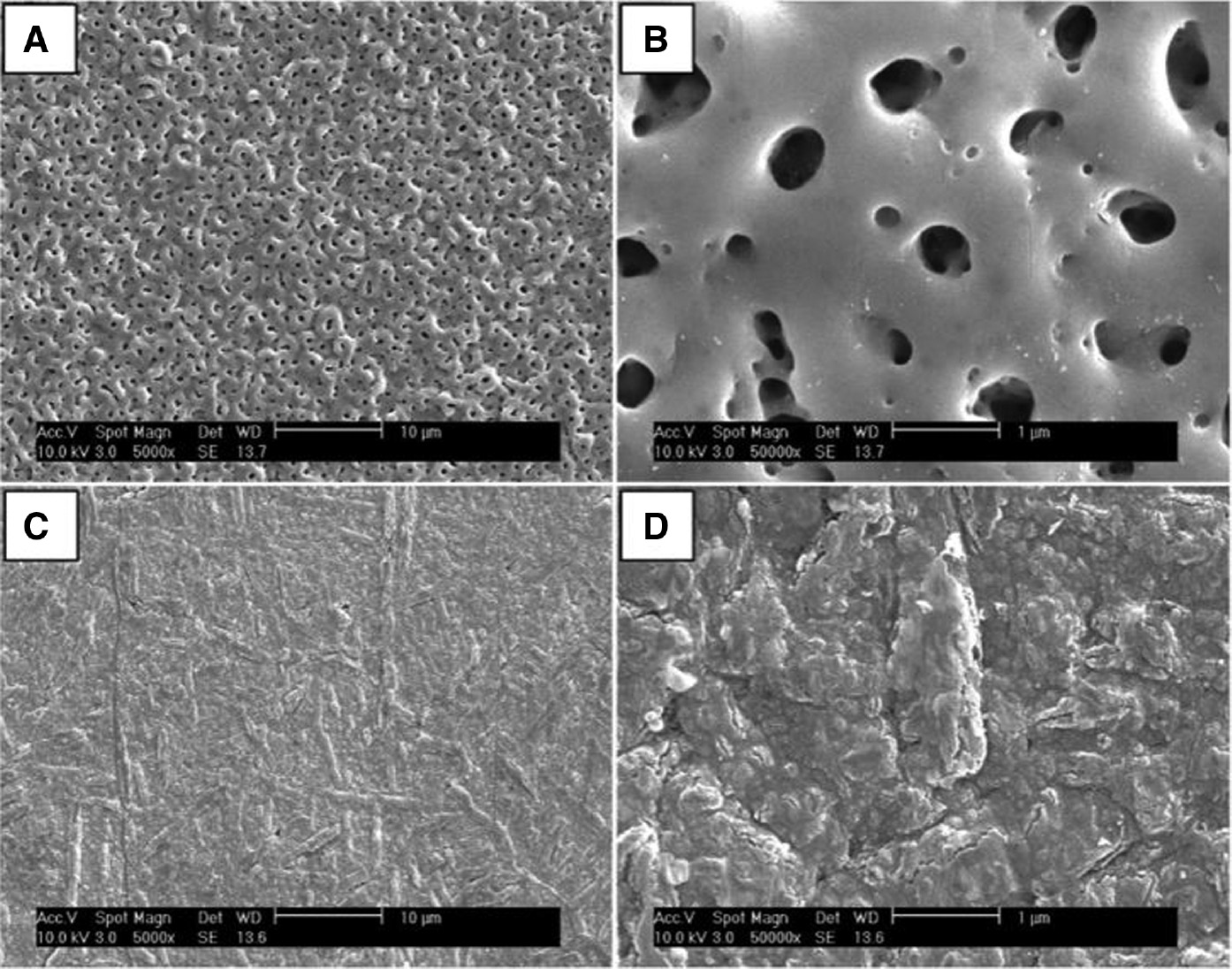 Corrosion behavior of titanium alloys in acidic and saline media: role ...