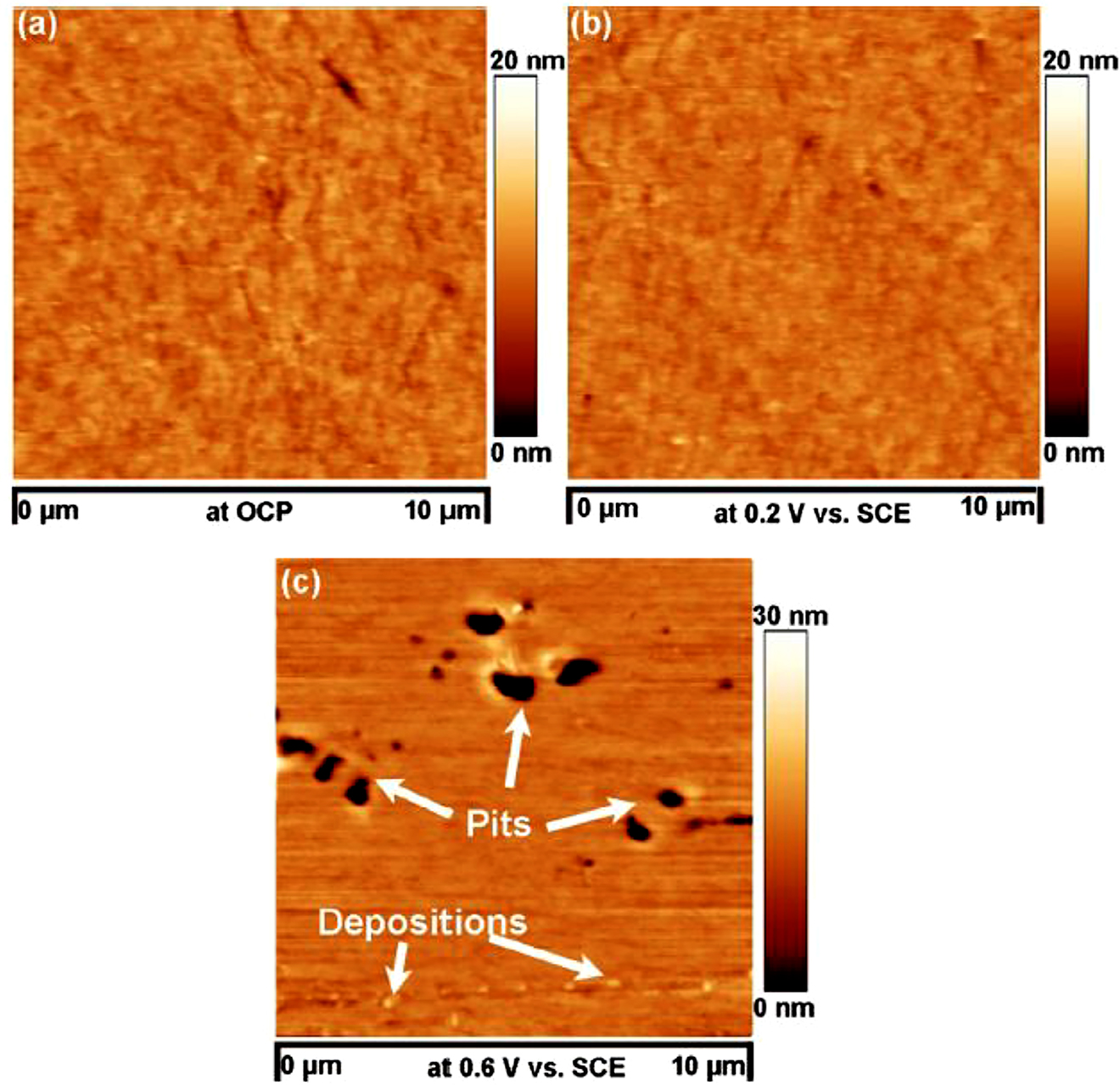 Principle and application of atomic force microscopy (AFM) for ...