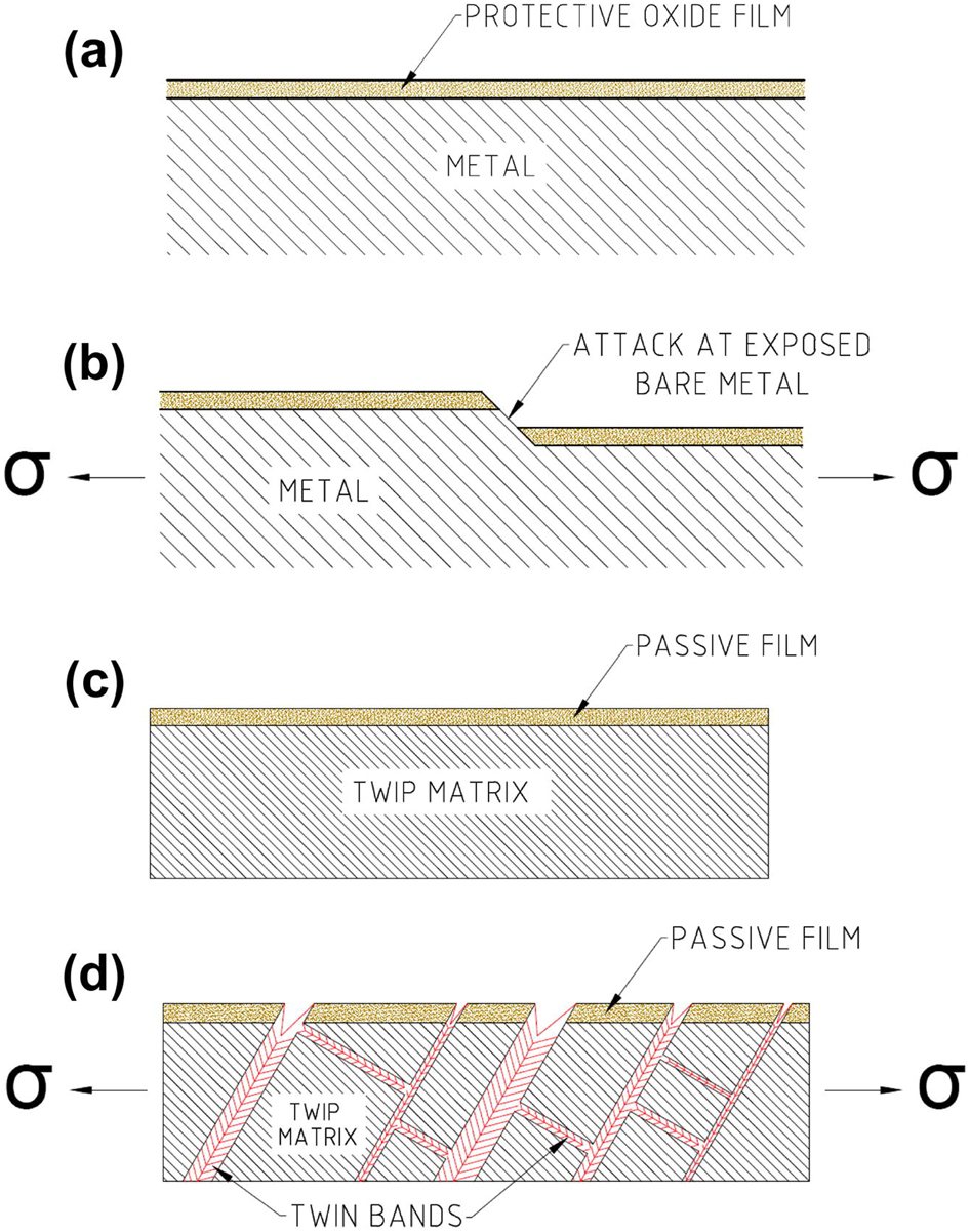 Stress corrosion cracking and precipitation strengthening mechanism in ...