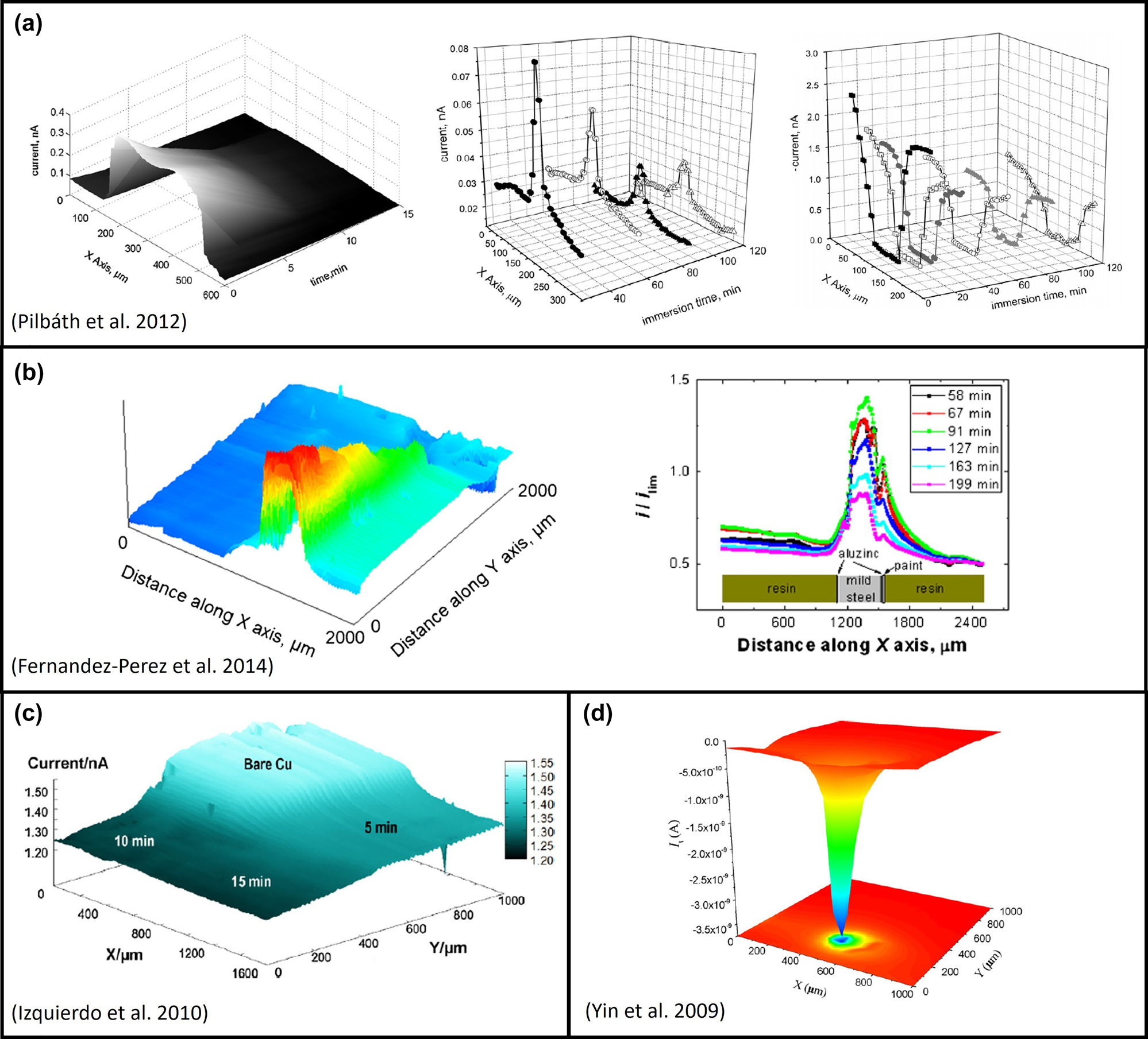 Scanning electrochemical microscopy methods (SECM) and ion-selective ...