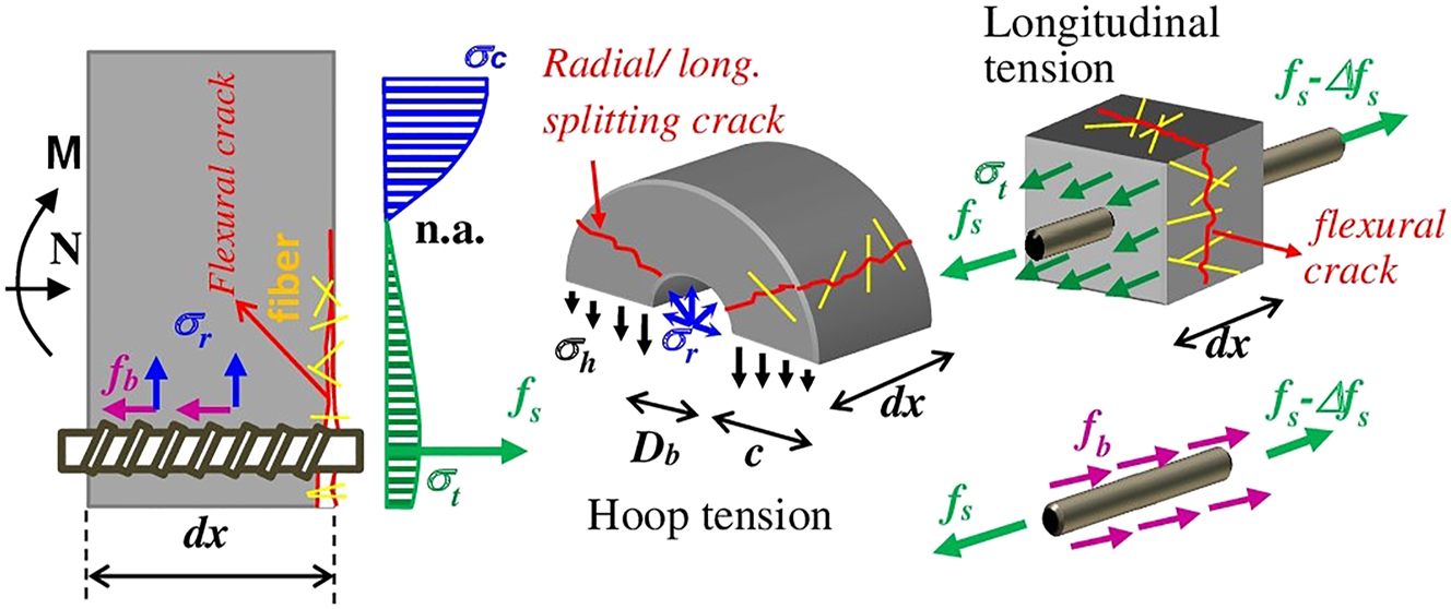 Bond of corroded reinforcement in strain resilient cementitious composites