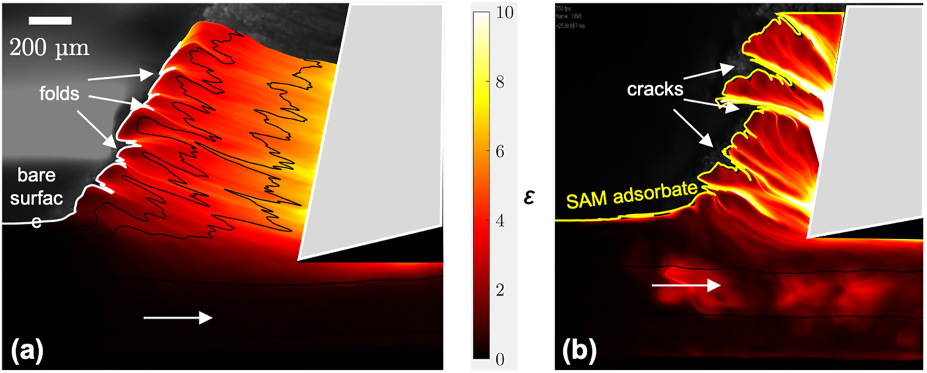 On the role of surface stress in environment-assisted fra...
