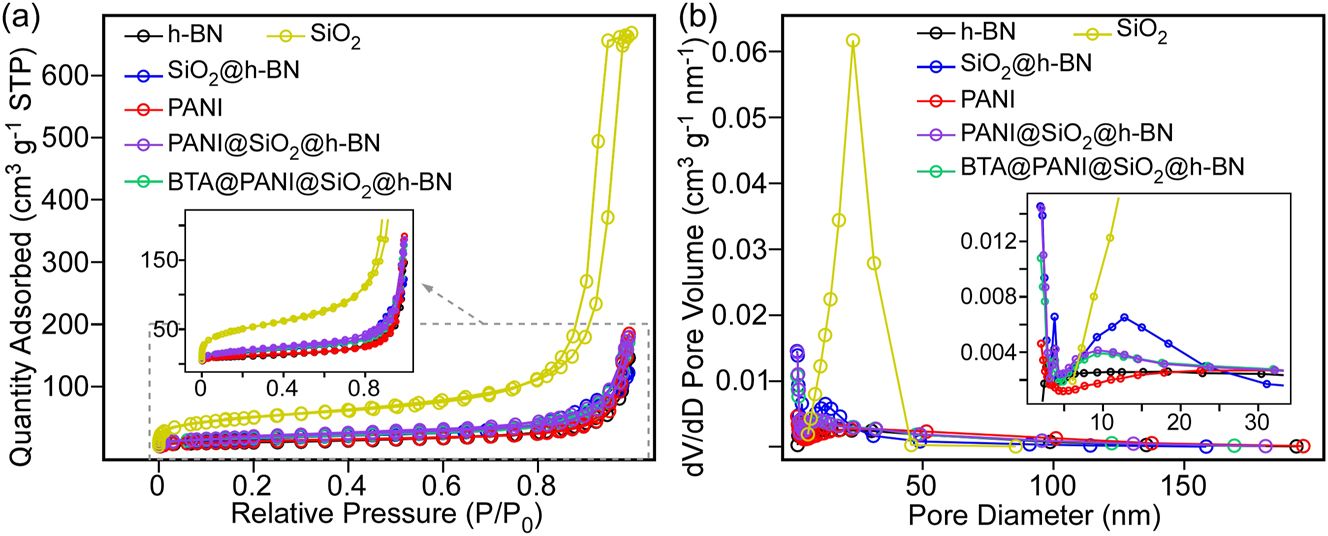 Advanced multifunctional BTA-loaded PANI@SiO2@h-BN water-...