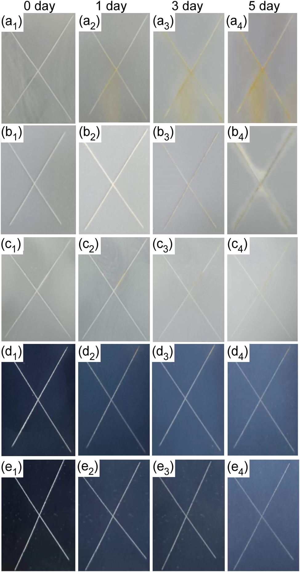 Advanced multifunctional BTA-loaded PANI@SiO2@h-BN water-based epoxy ...