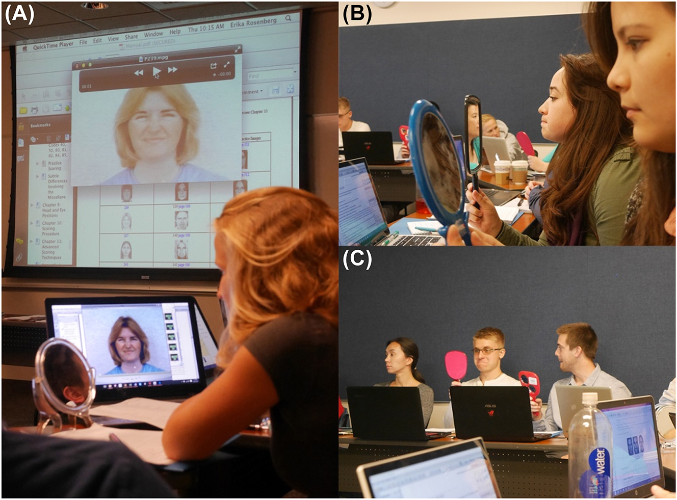 Face in the mirror, what do you see? Catoptric autoexperimentation and ...