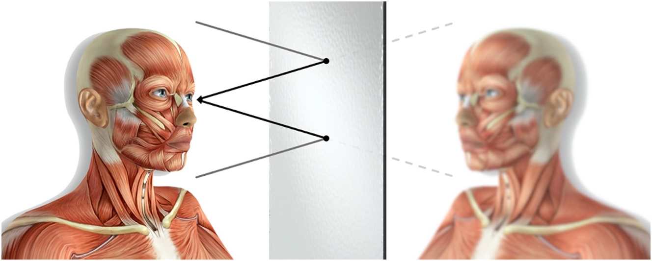 Face in the mirror, what do you see? Catoptric autoexperimentation and ...