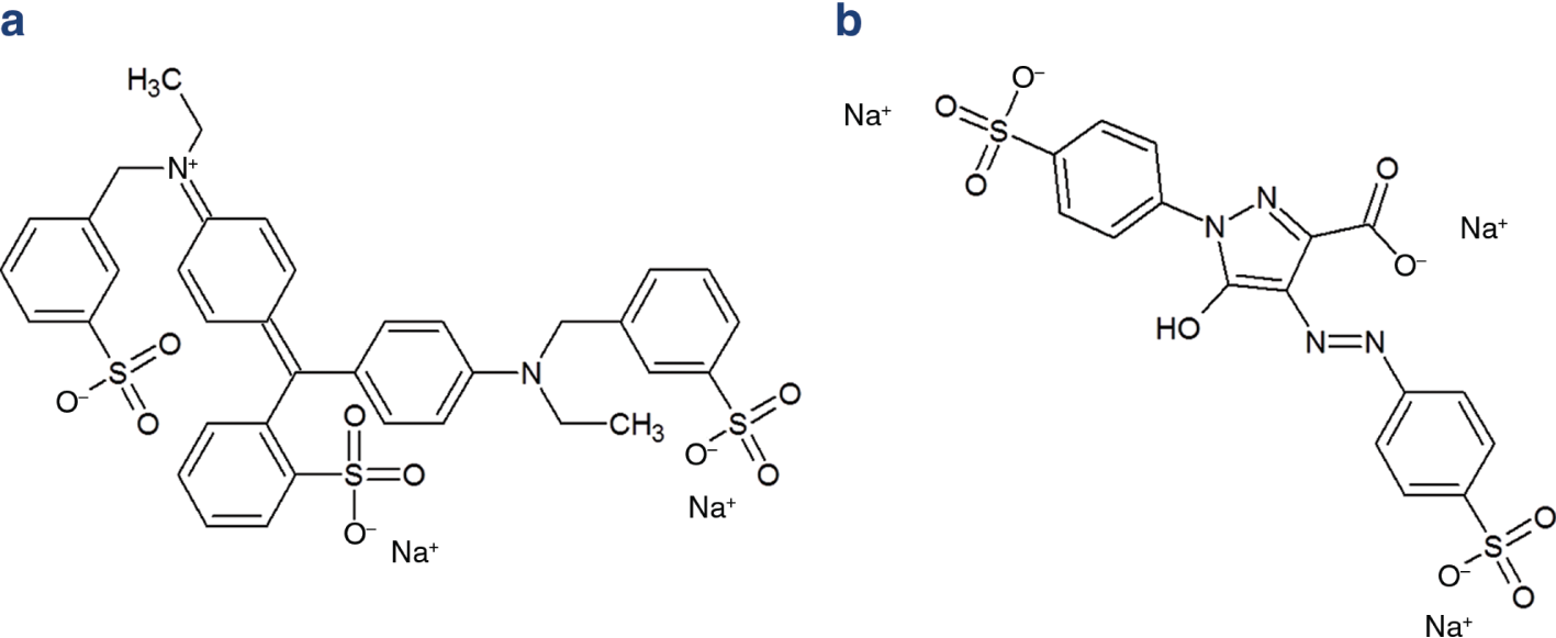 Introducing spectrophotometry in the school lab employing LEGO bricks ...