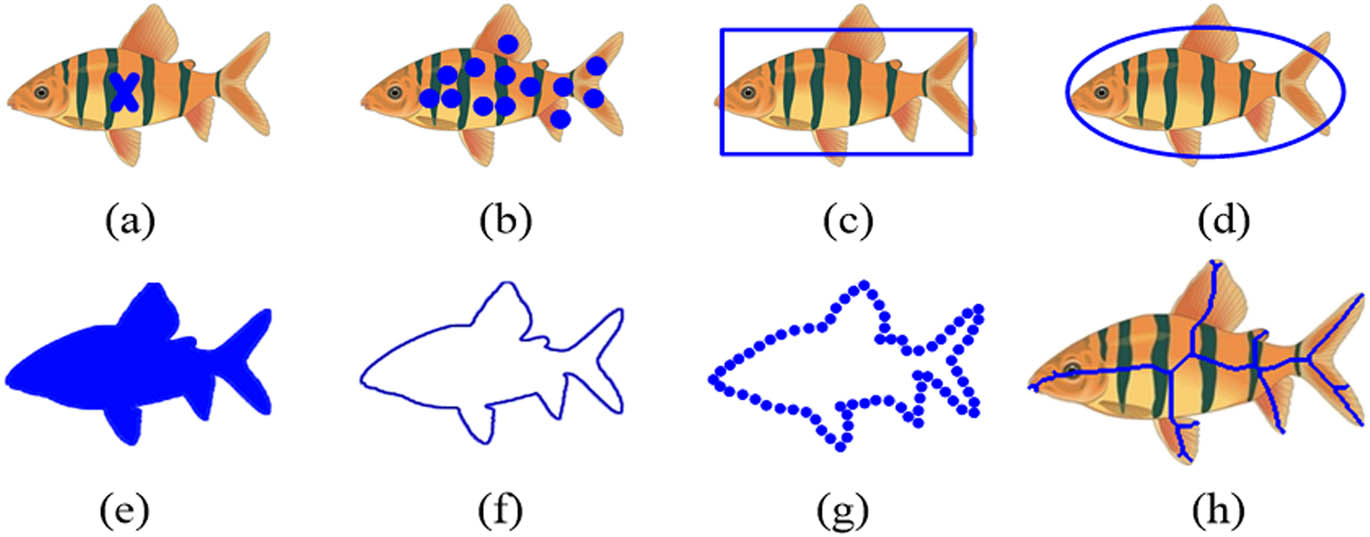 Survey on machine vision-based intelligent water quality monitoring ...
