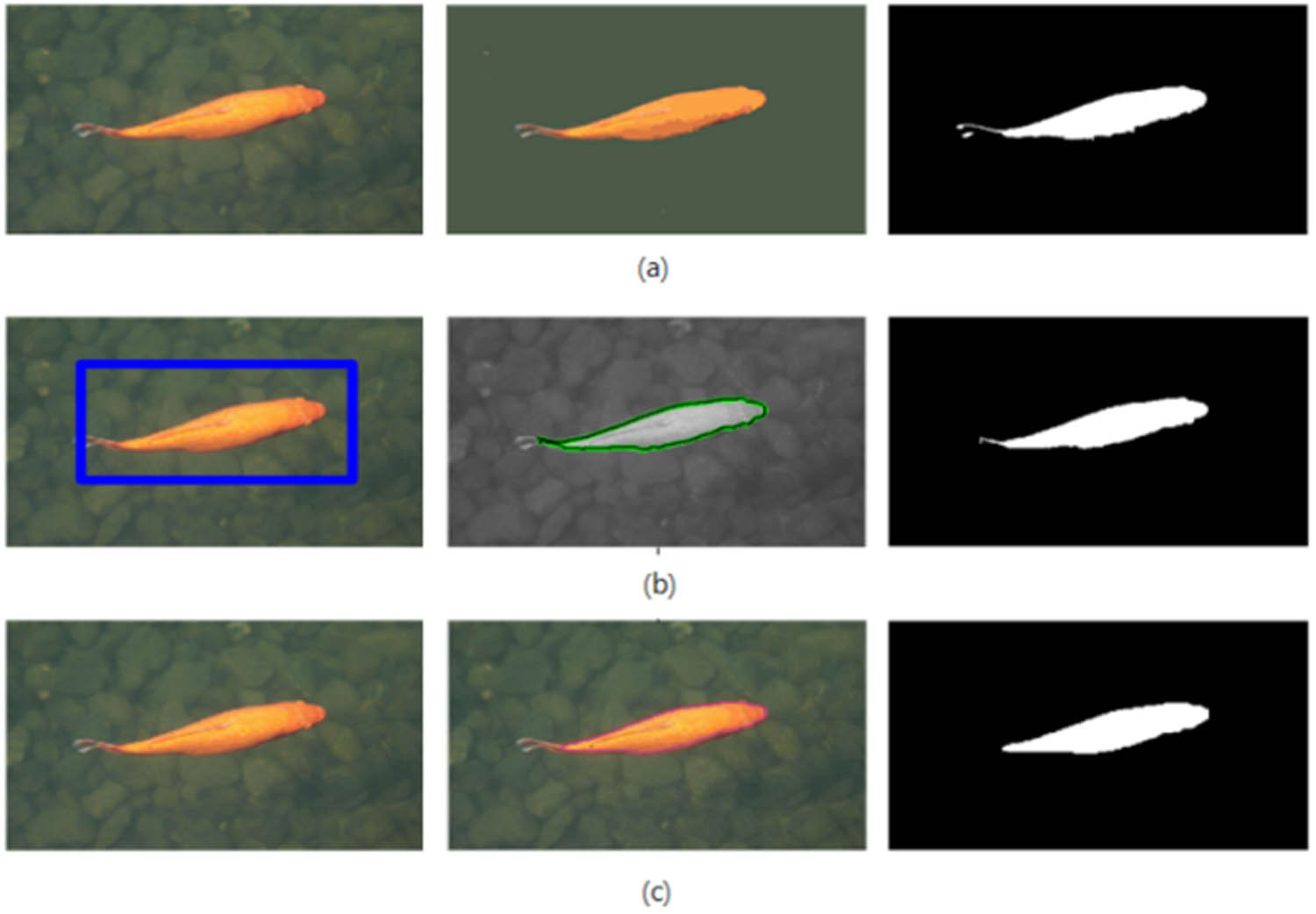 Survey on machine vision-based intelligent water quality monitoring ...