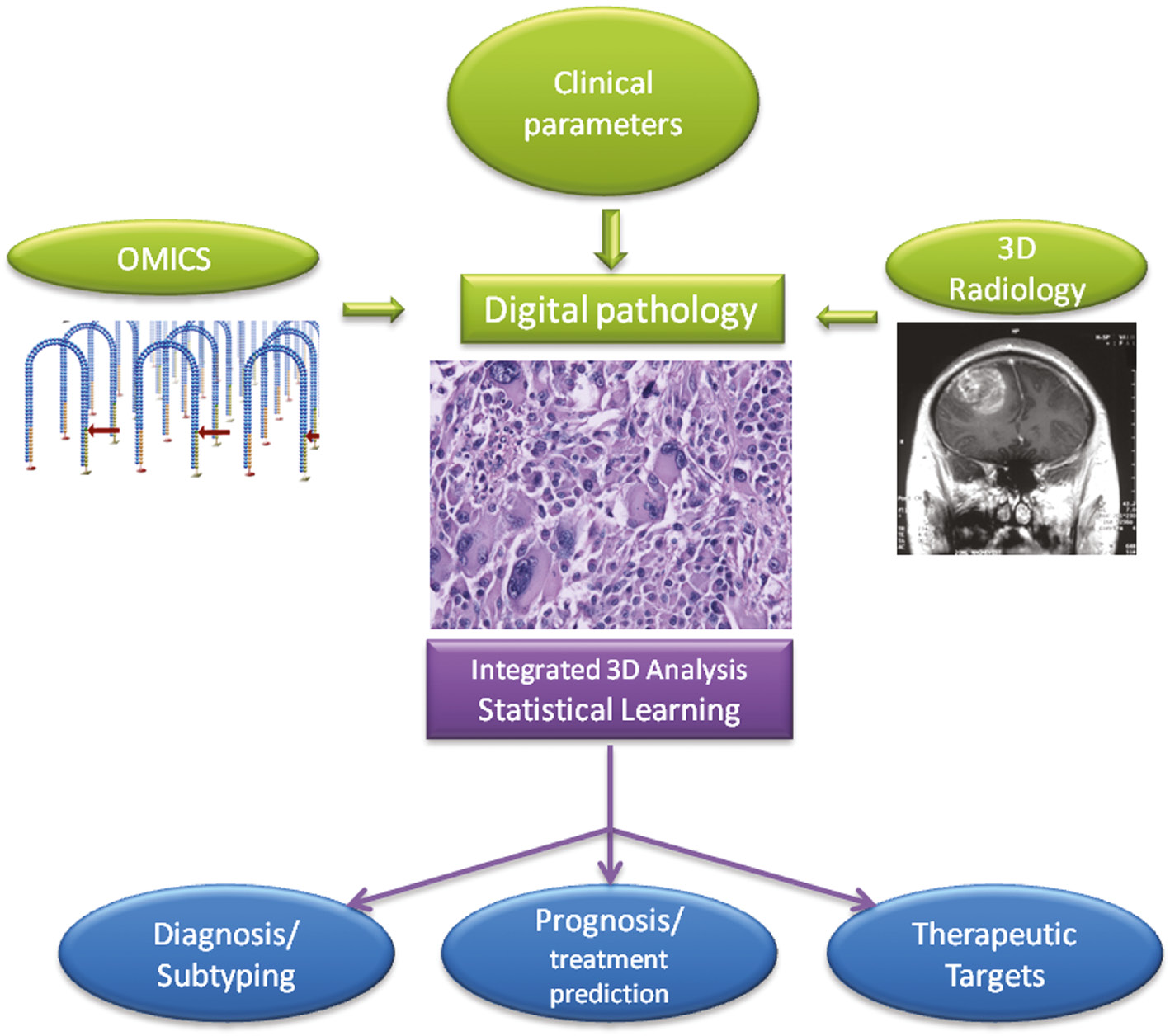 Histo-genomics: digital pathology at the forefront of precision medicine
