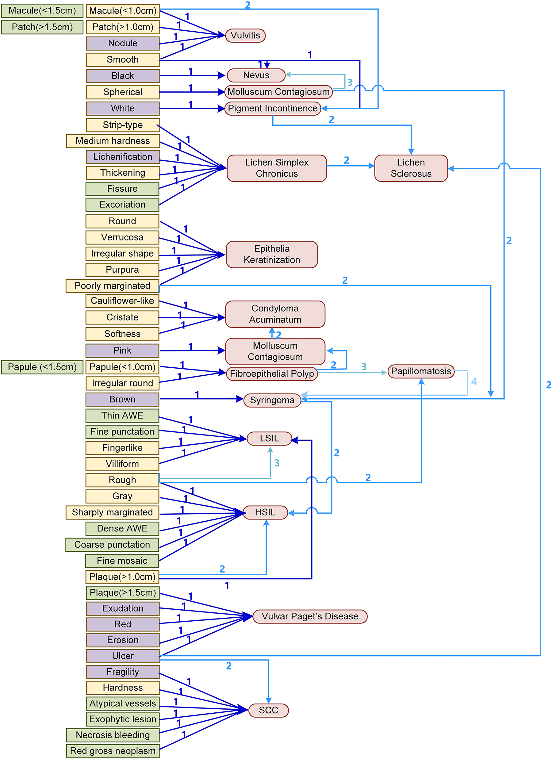 Application of a diagnosis flow draft based on appearance impression ...