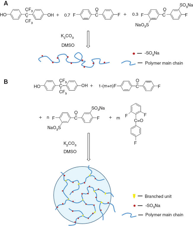 Sulfonated fluorinated-aromatic polymers as proton exchange membranes