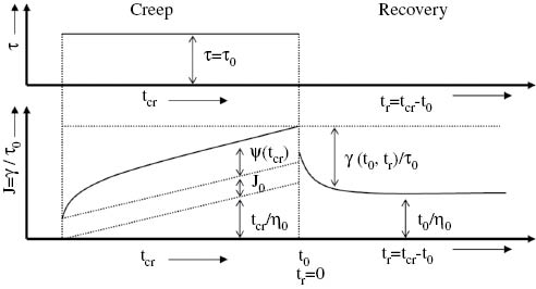 Rheological investigation of creep recovery for UHMWPE or carbon ...