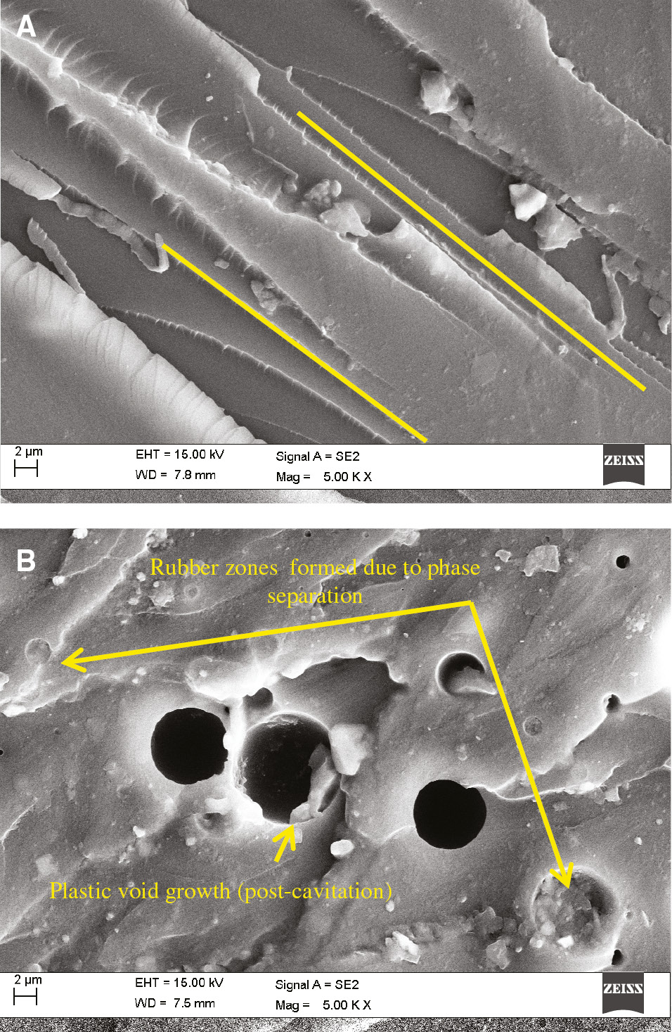 Morphology and micromechanics of liquid rubber toughened ...