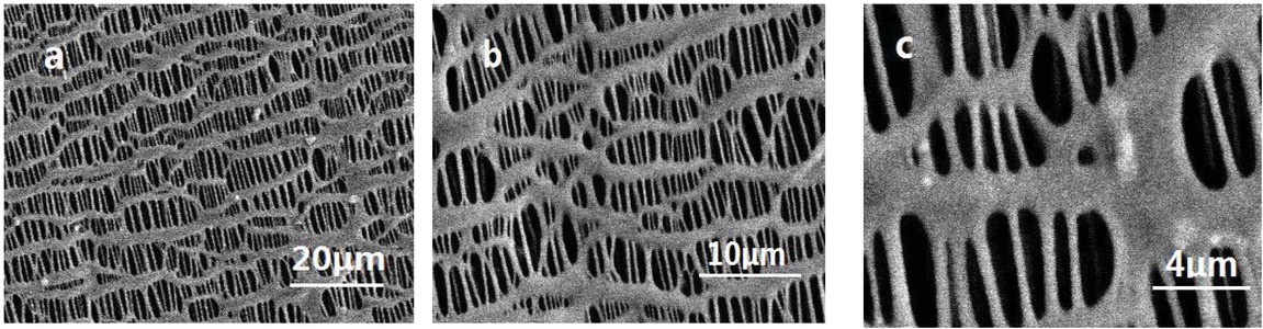 Preparation and performance of polypropylene separator modified by SiO2/PVA layer for lithium ...