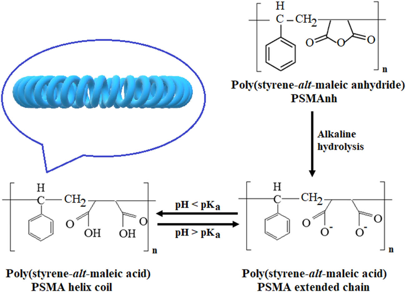 Lipid nanodiscs of poly(styrene-alt-maleic acid) to enhance plant ...