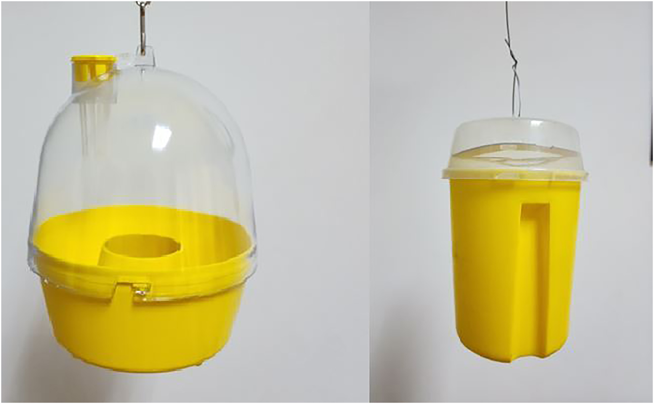 Relative captures and detection of male Ceratitis capitata using a ...