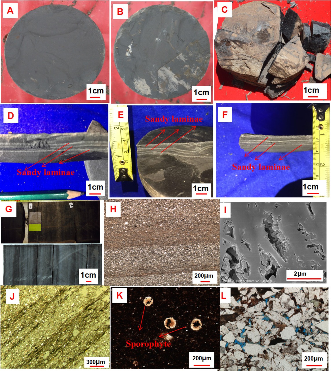 Lithologic heterogeneity of lacustrine shale and its geological ...