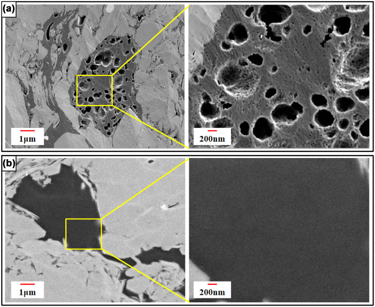 Effect of organic maturity on shale gas genesis and pores development ...