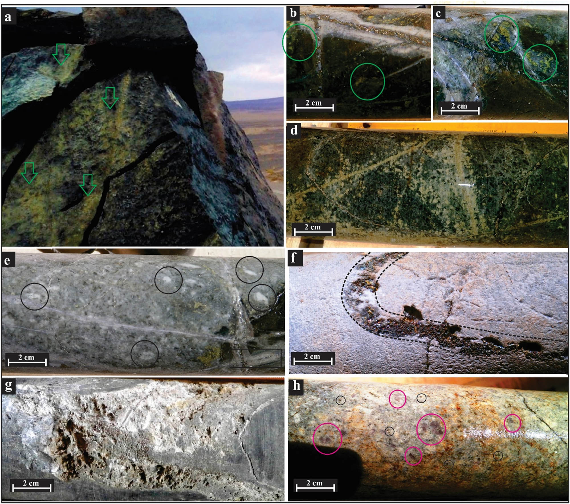 Geophysical exploration and geological appraisal of the Siah Diq ...