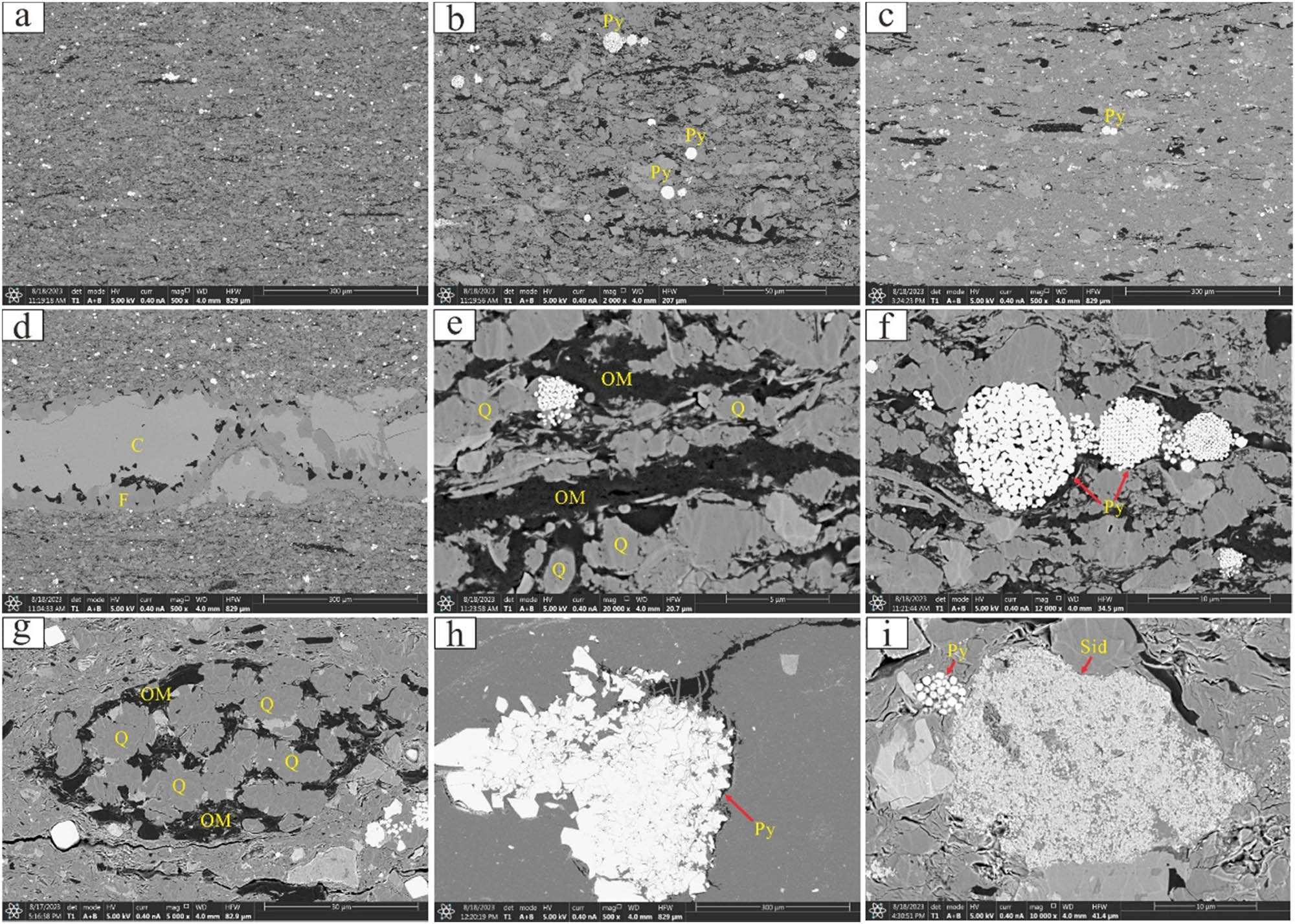 Diagenesis of marine-continental transitional shale from the Upper ...
