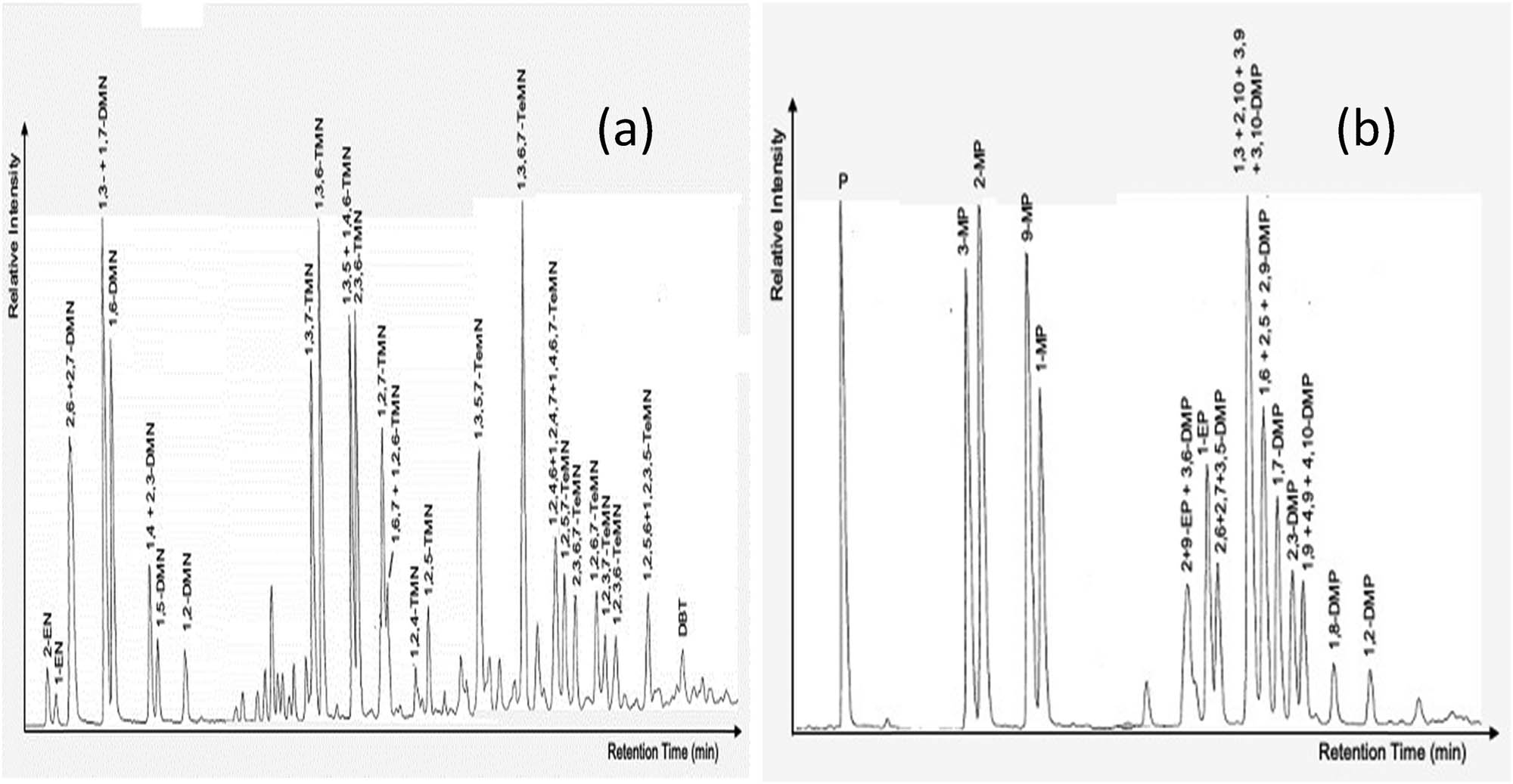 Early Permian to Middle Triassic Formation petroleum potentials of ...