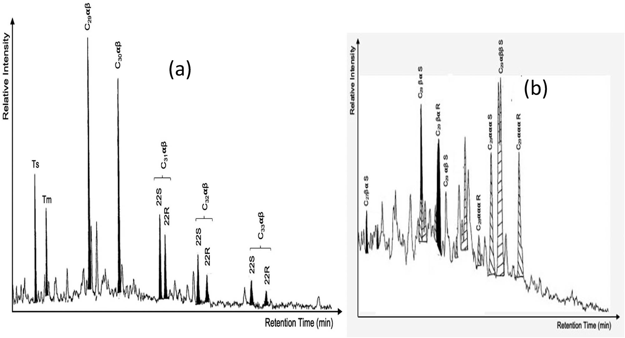 Early Permian to Middle Triassic Formation petroleum potentials of ...