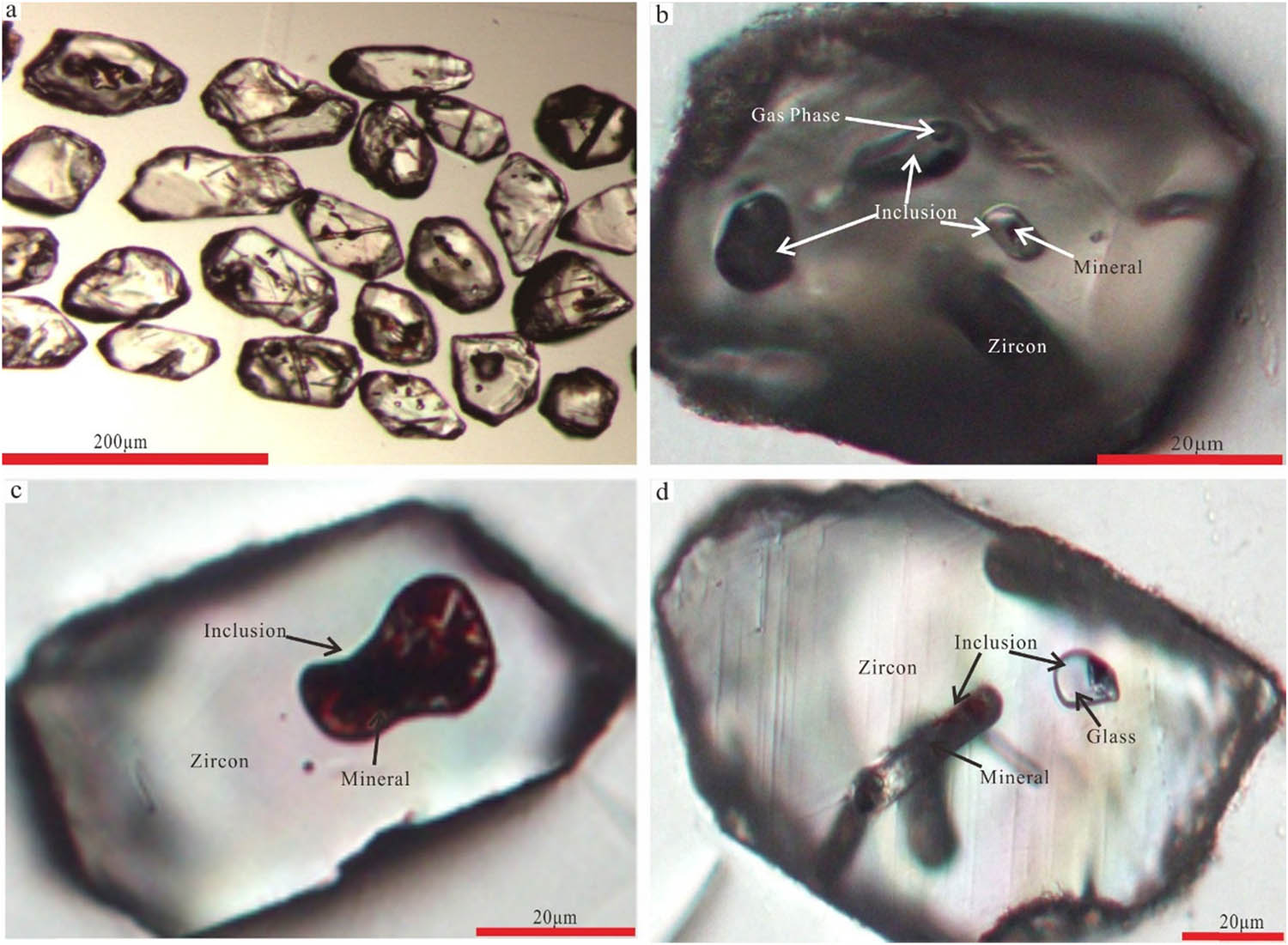 Trace elements and melt inclusion in zircon within the Qunji porphyry ...
