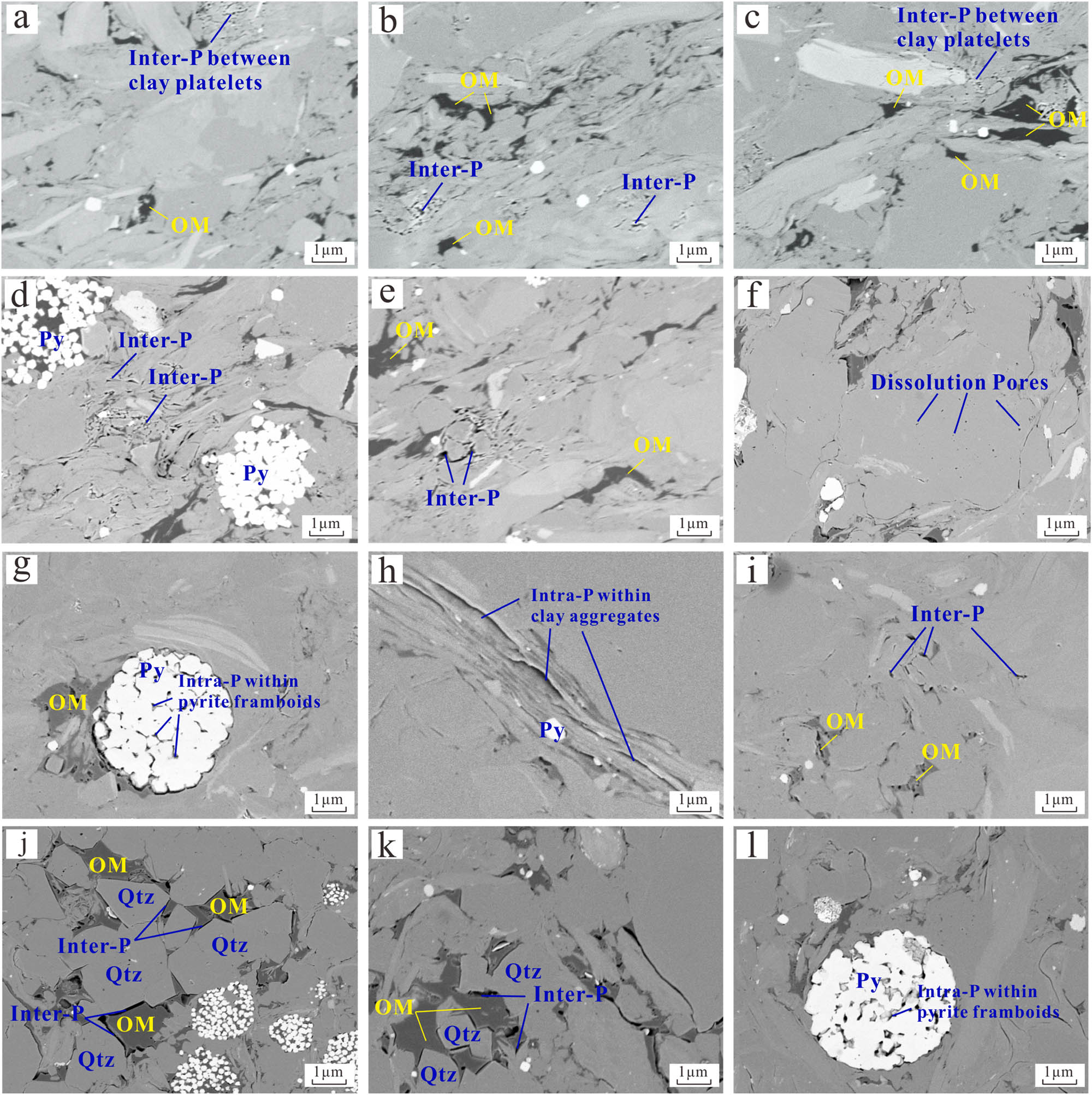 Pore, fracture characteristics and diagenetic evolution of medium ...