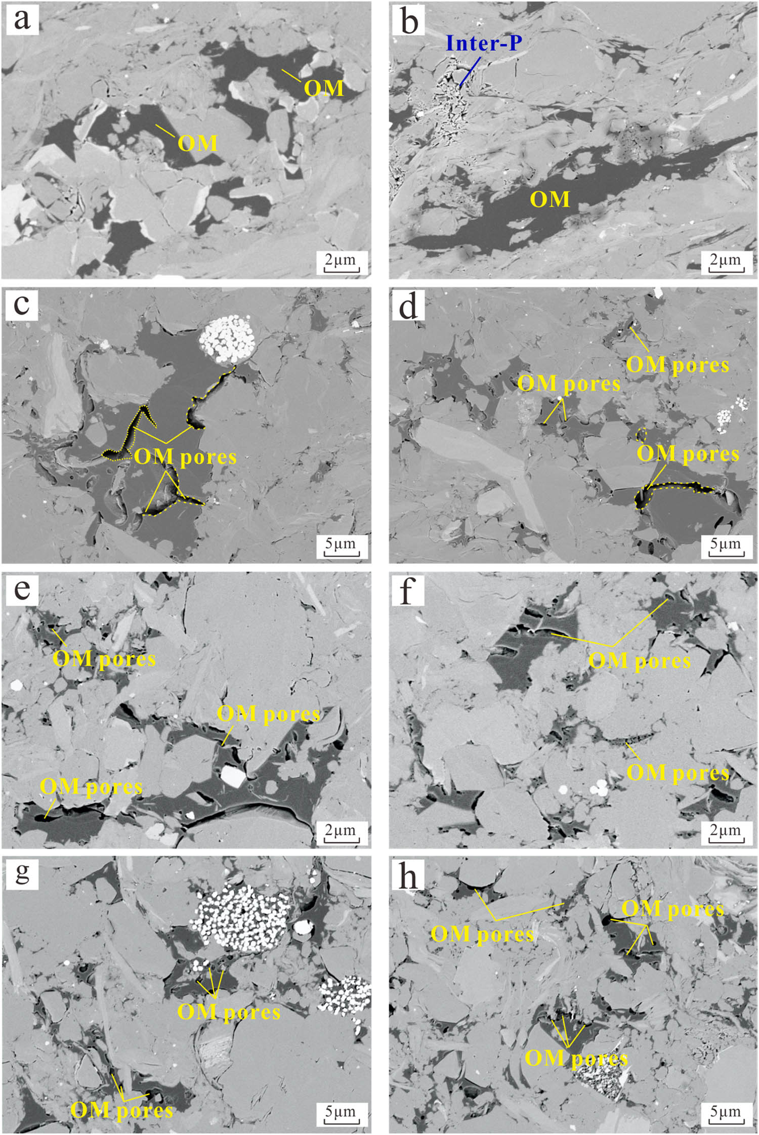 Pore, fracture characteristics and diagenetic evolution of medium ...