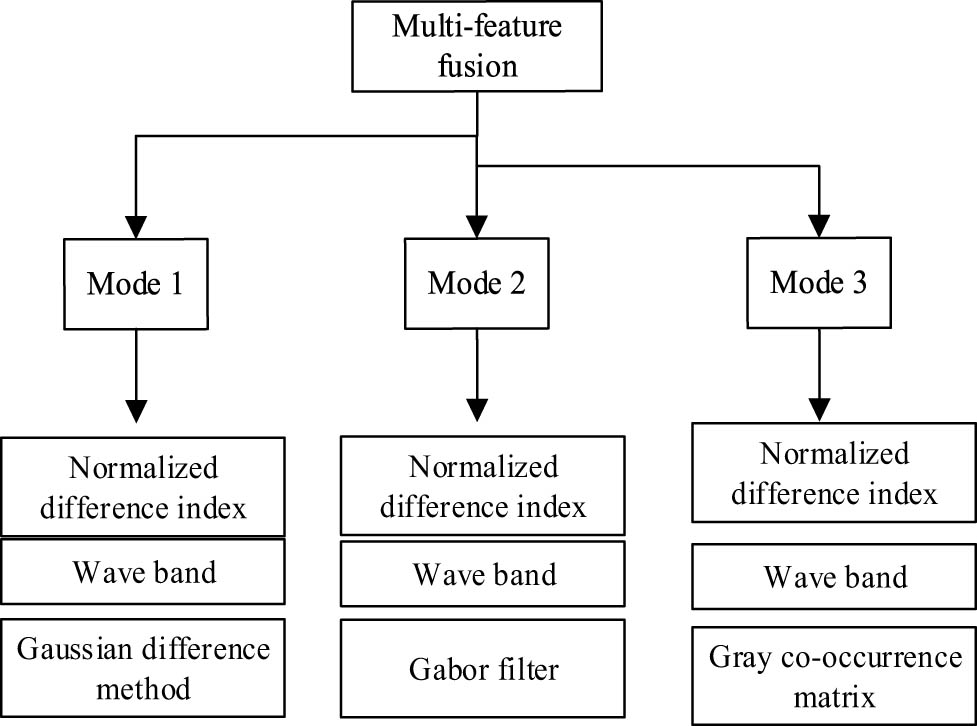 Land use classification through fusion of remote sensing images and multi-source data