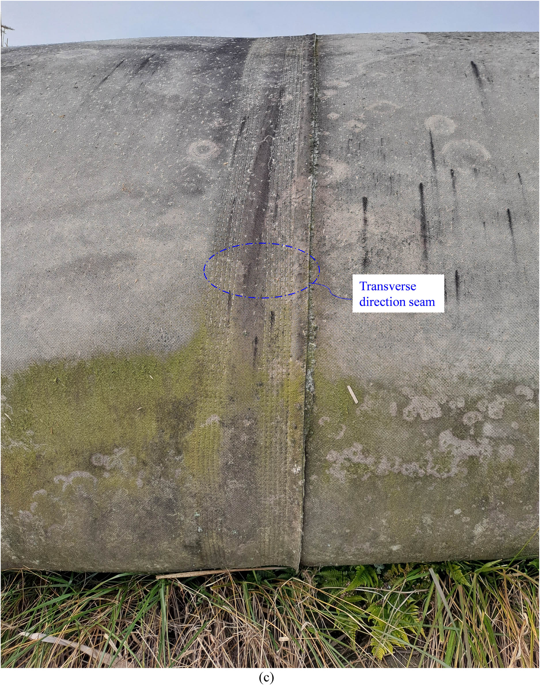 A test site case study on the long-term behavior of geotextile tubes