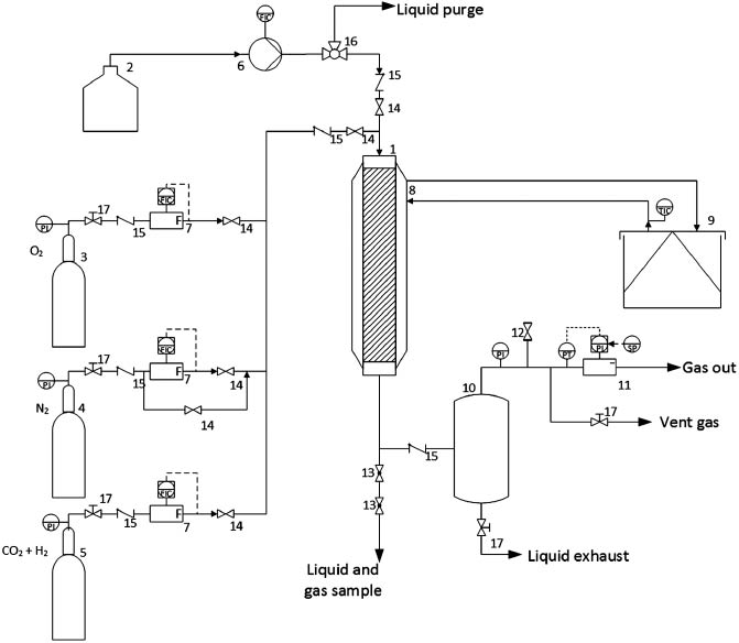 Continuous H2O2 direct synthesis process: an analysis of the process ...