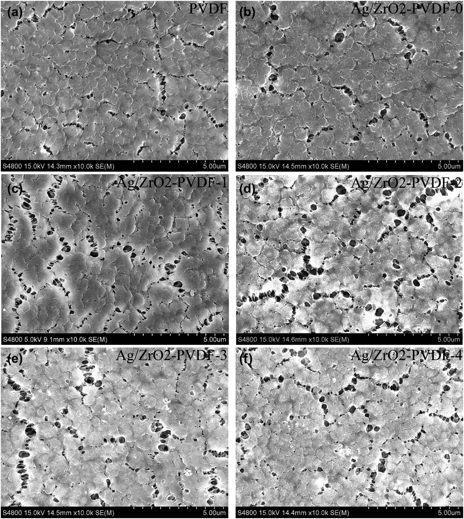 Hydrophilic modification of PVDF membranes by in situ syn...