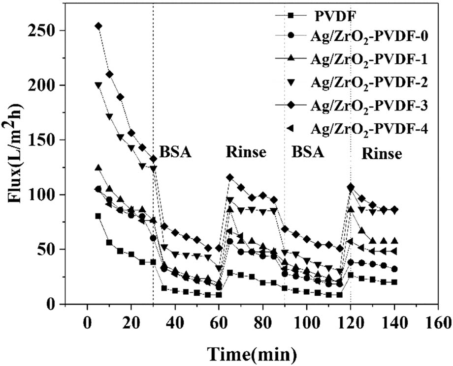 Hydrophilic modification of PVDF membranes by in situ syn...